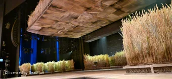 Barbican Theatre London Seating Plan & Seat View Photos | SeatPlan